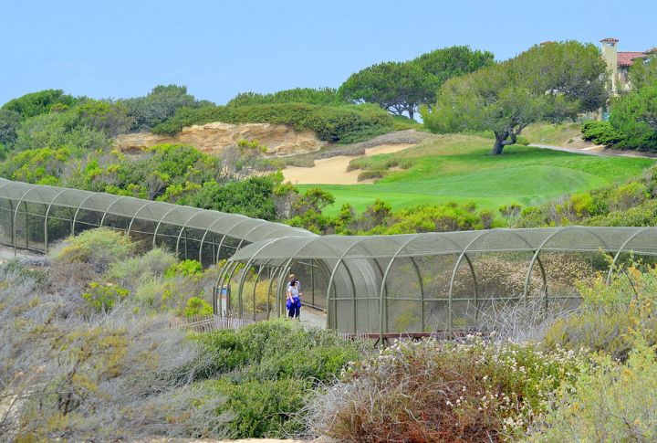 Explore these 20 scenic state parks along California's iconic coastline