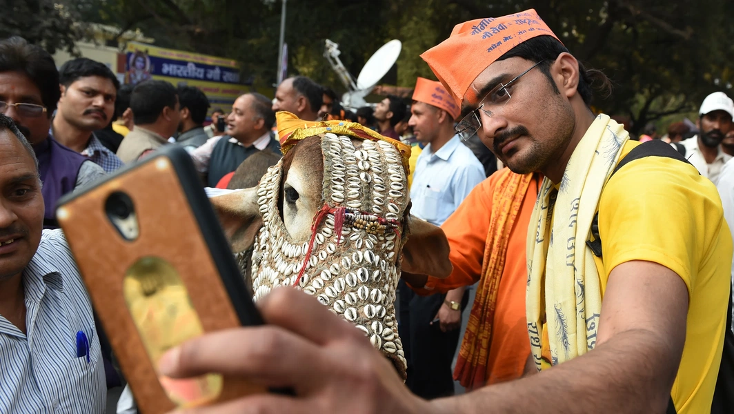 Muslim leaders renew push to declare cow national animal