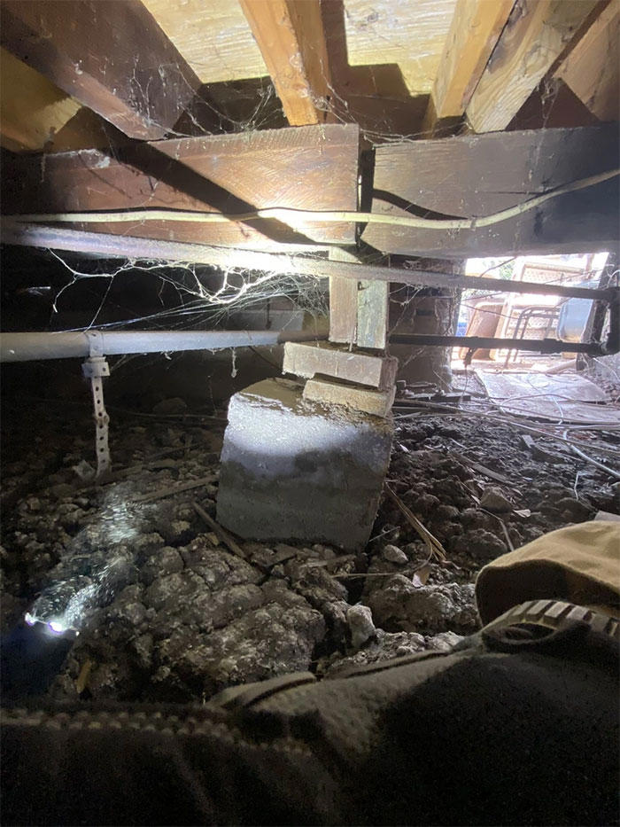 48 'nightmares' and 'miracles' spotted during structural inspections