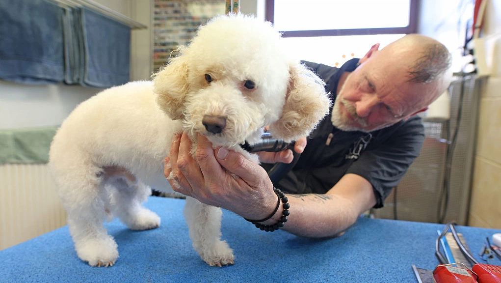 Keeping your dog happy through better grooming habits
