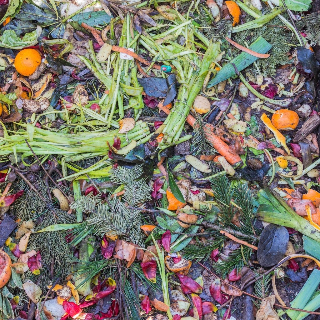 The ultimate guide to composting at home without the bad smell