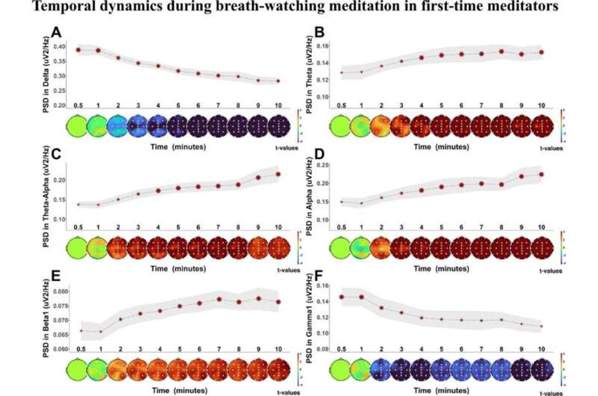 Can just 7 minutes of meditation sharpen your brain performance?
