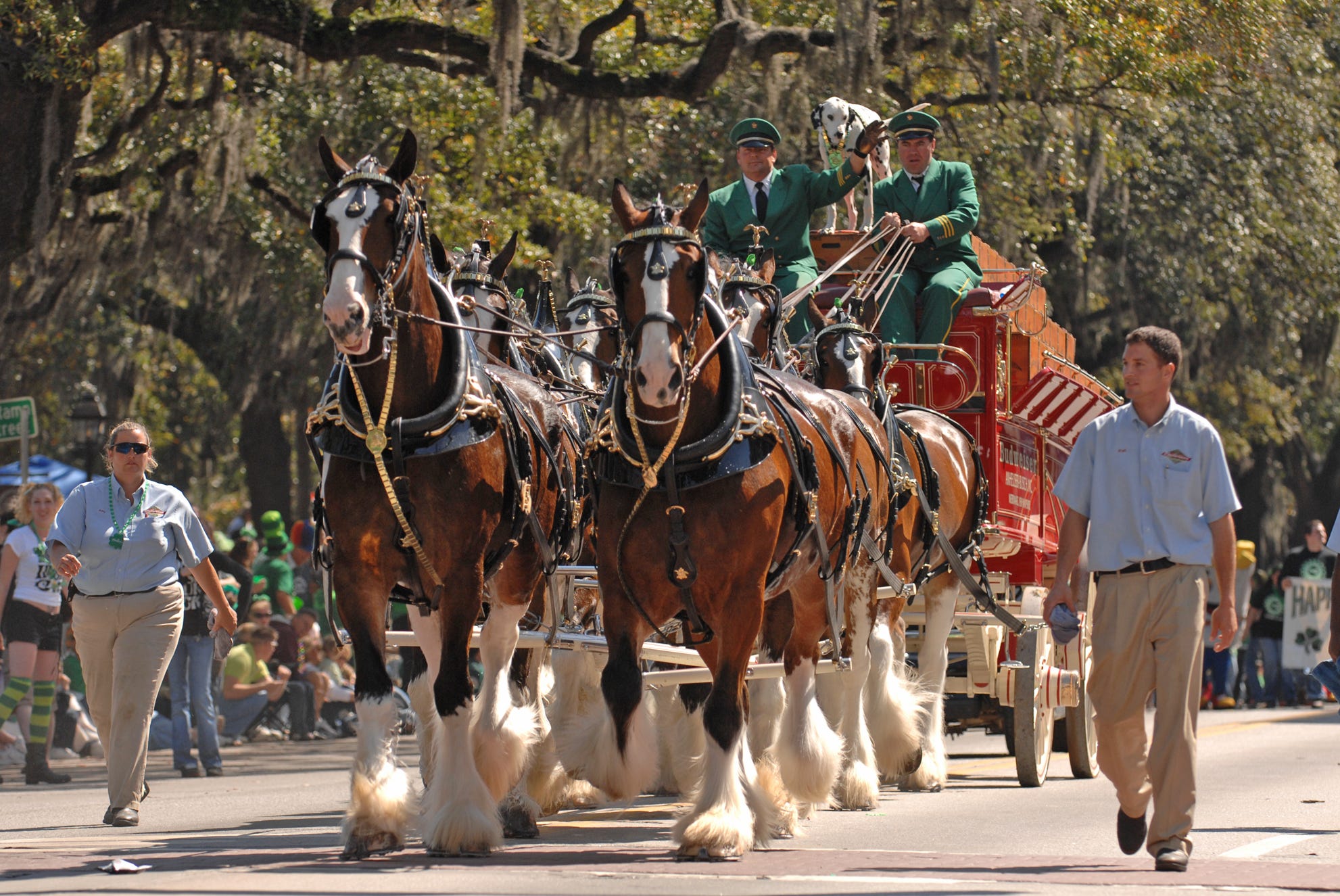 Budweiser Clydesdales set for appearance at Otters game in June