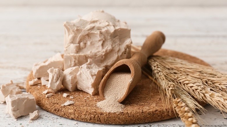 11 common mistakes people make when using yeast