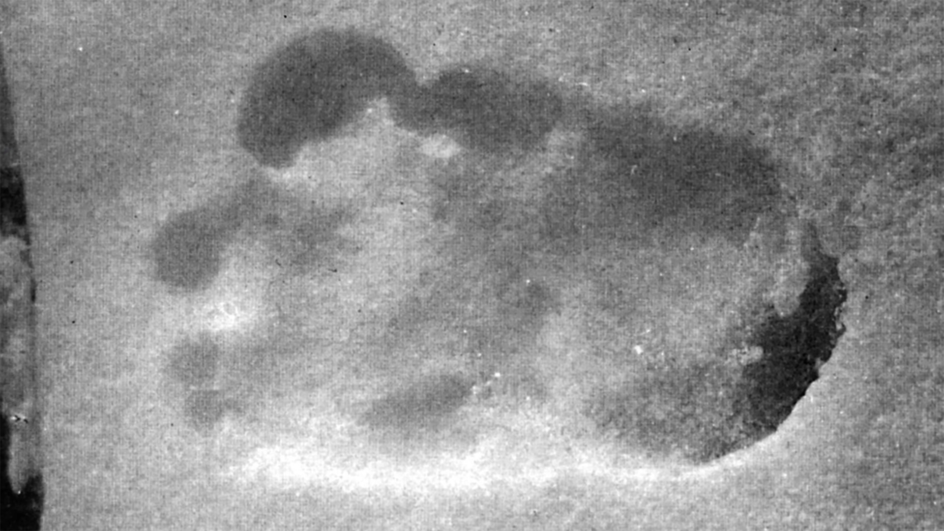 Climbers found a 13-inch footprint near Everest - then DNA pointed to a ...