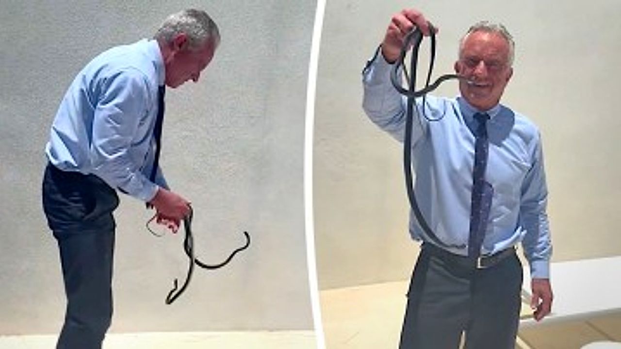 Robert F Kennedy Jr retire deux serpents vivants de la terrasse de Dr Oz