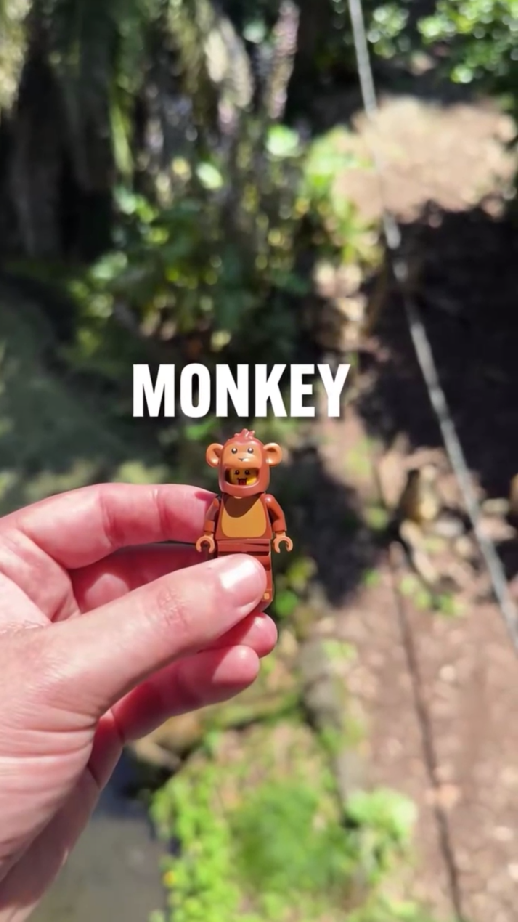 Comparing LEGO characters to their real animal counterparts