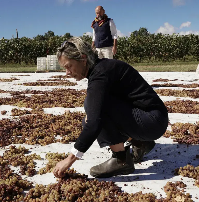 “Vini fuorilegge per colpa della volatile? Bisogna rivedere i limiti ...
