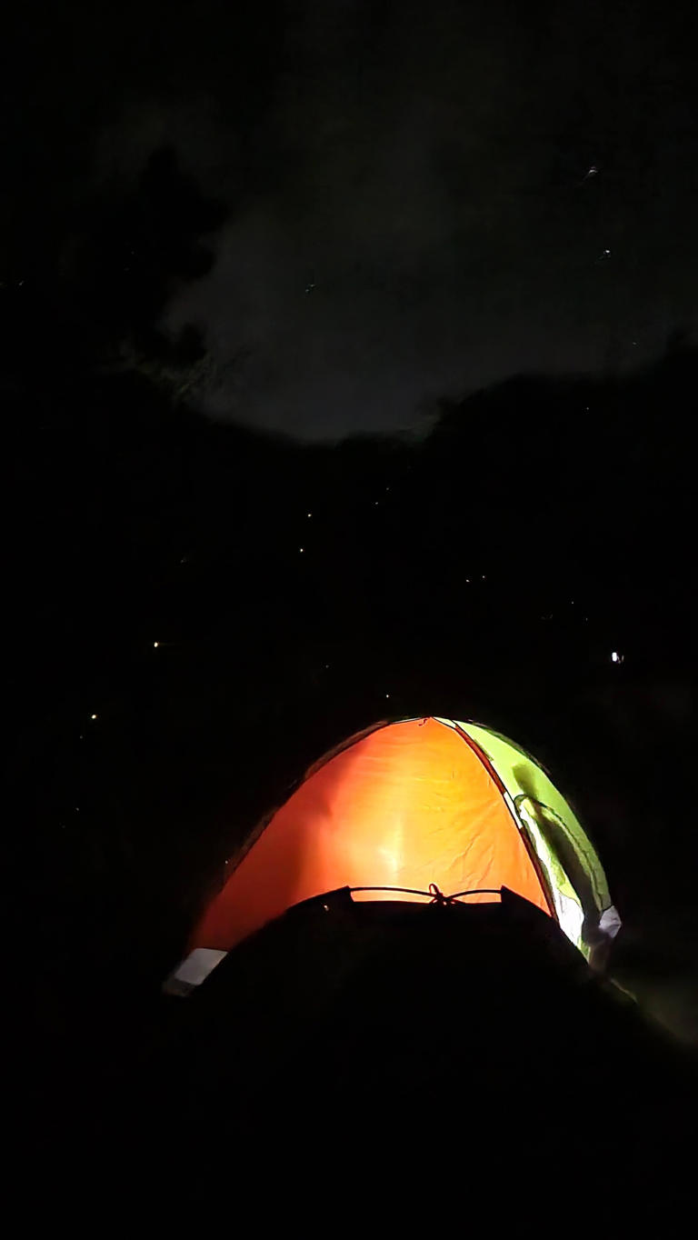 Experience the magic of fireflies in Maharashtra's Sahyadris this pre ...