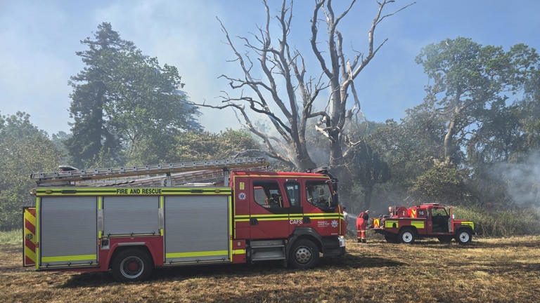 Firefighters battle field blaze in intense heat