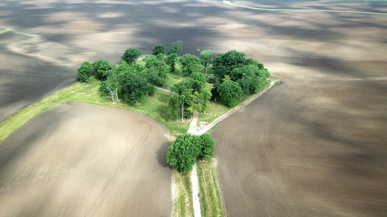 Ohio Supreme Court says state must revisit solar farm on Bill Gates' land