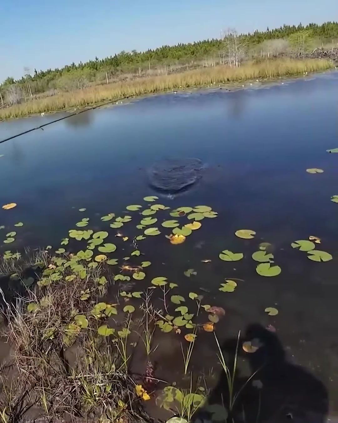 $100 fishing challenge at Four Ponds