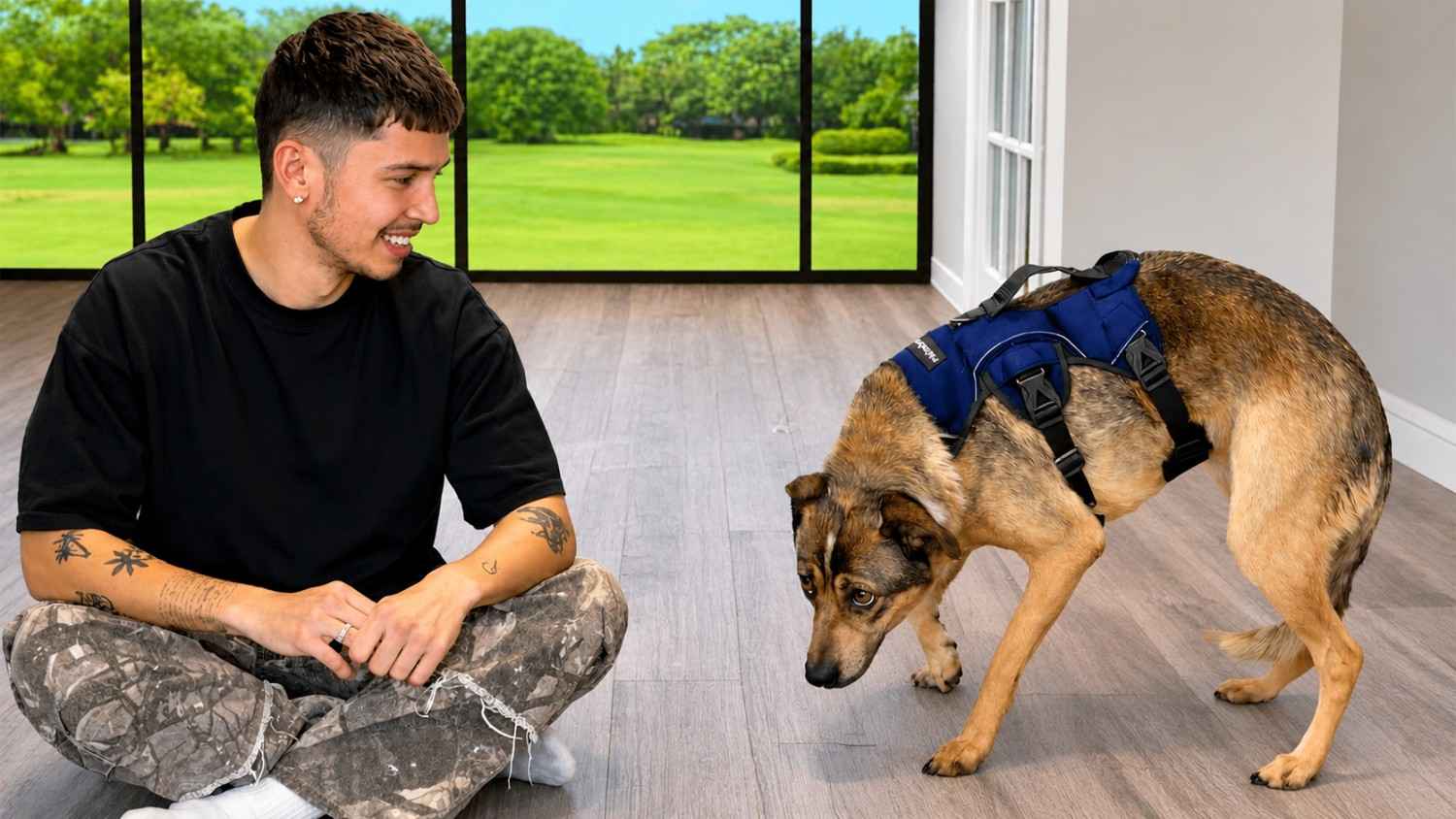 We helped this rescue dog feel safe again
