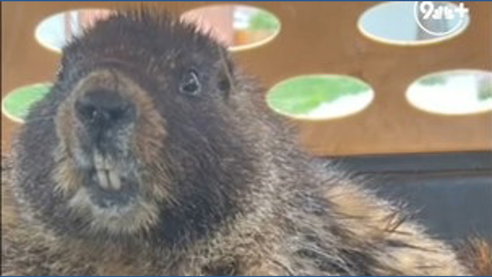 Marmot's accidental 300-mile Colorado road trip