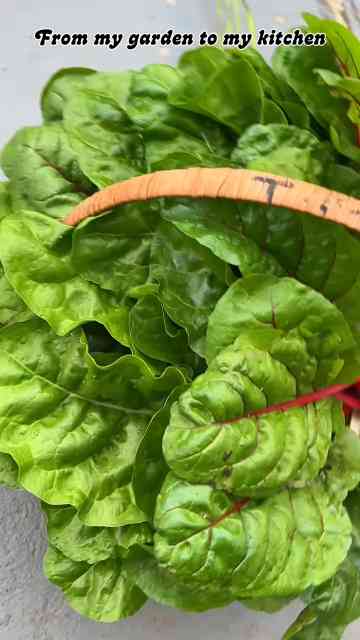 Homegrown gardening tips for fresh and healthy food