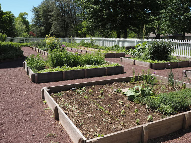 7 mistakes to avoid when starting your first raised bed