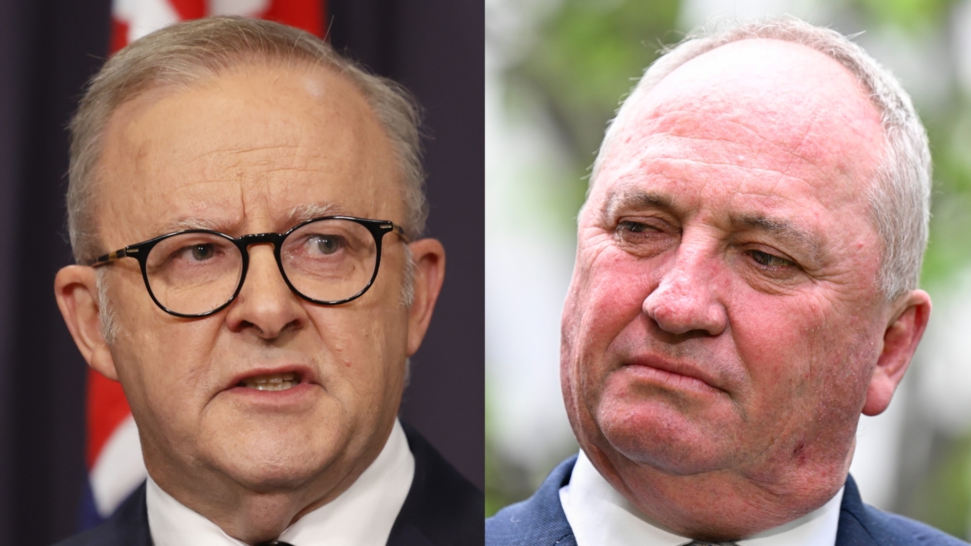 'Liars': Joyce pushes Albanese to call early election