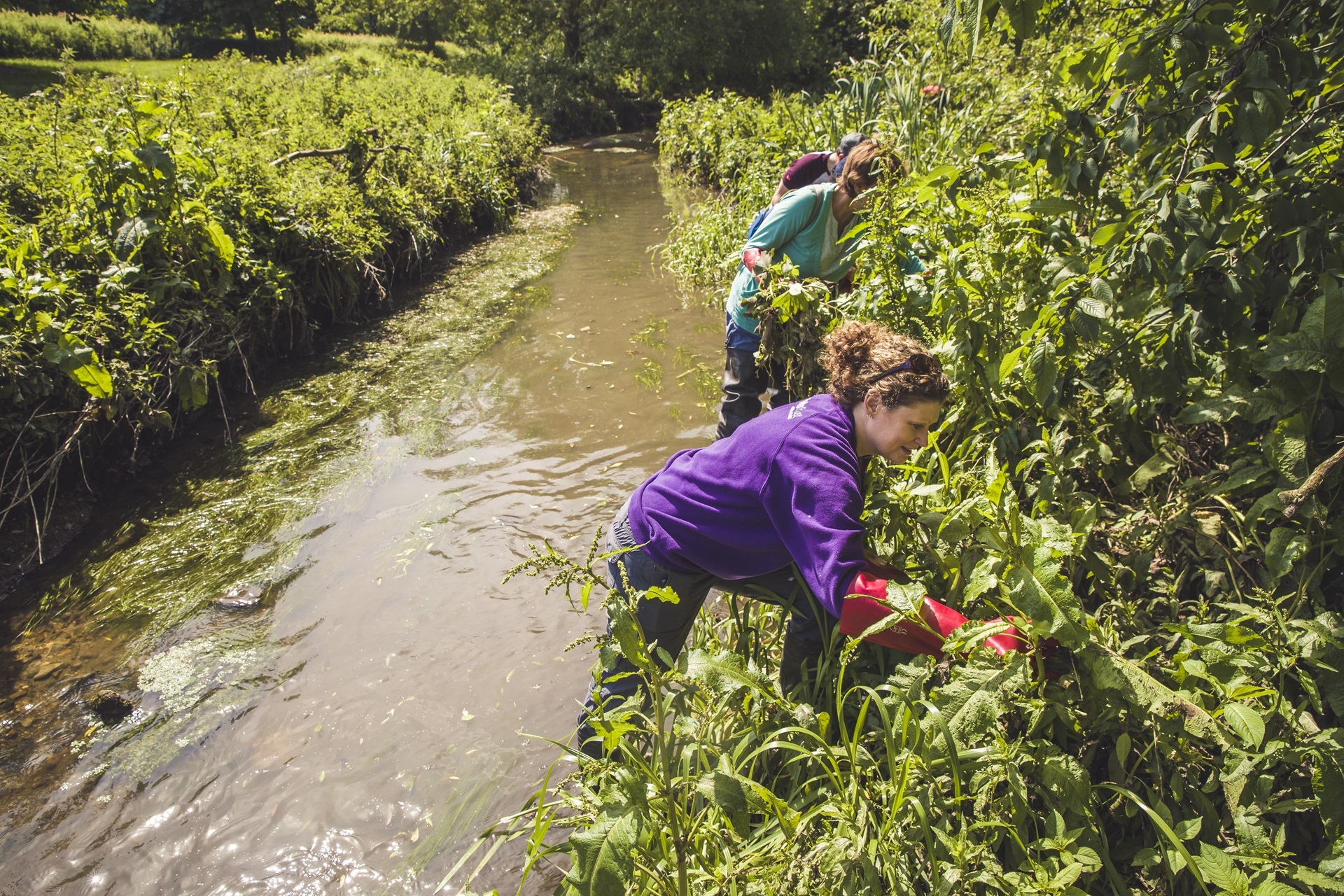 Celebrate Volunteers’ Week 2026 with The Parks Trust