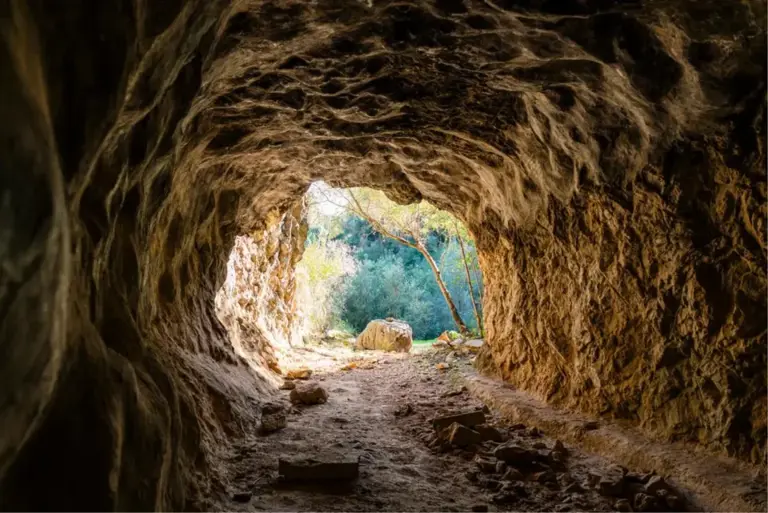 Archaeologists discover prehistoric Texas treasure so well preserved it ...