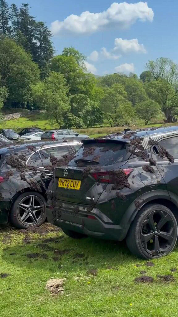 Farmer sprays slurry on cars parked illegally in Lake District field