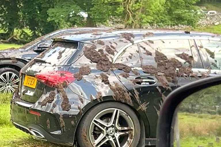 Lake District farmer sprays slurry on day-trippers' cars parked ...
