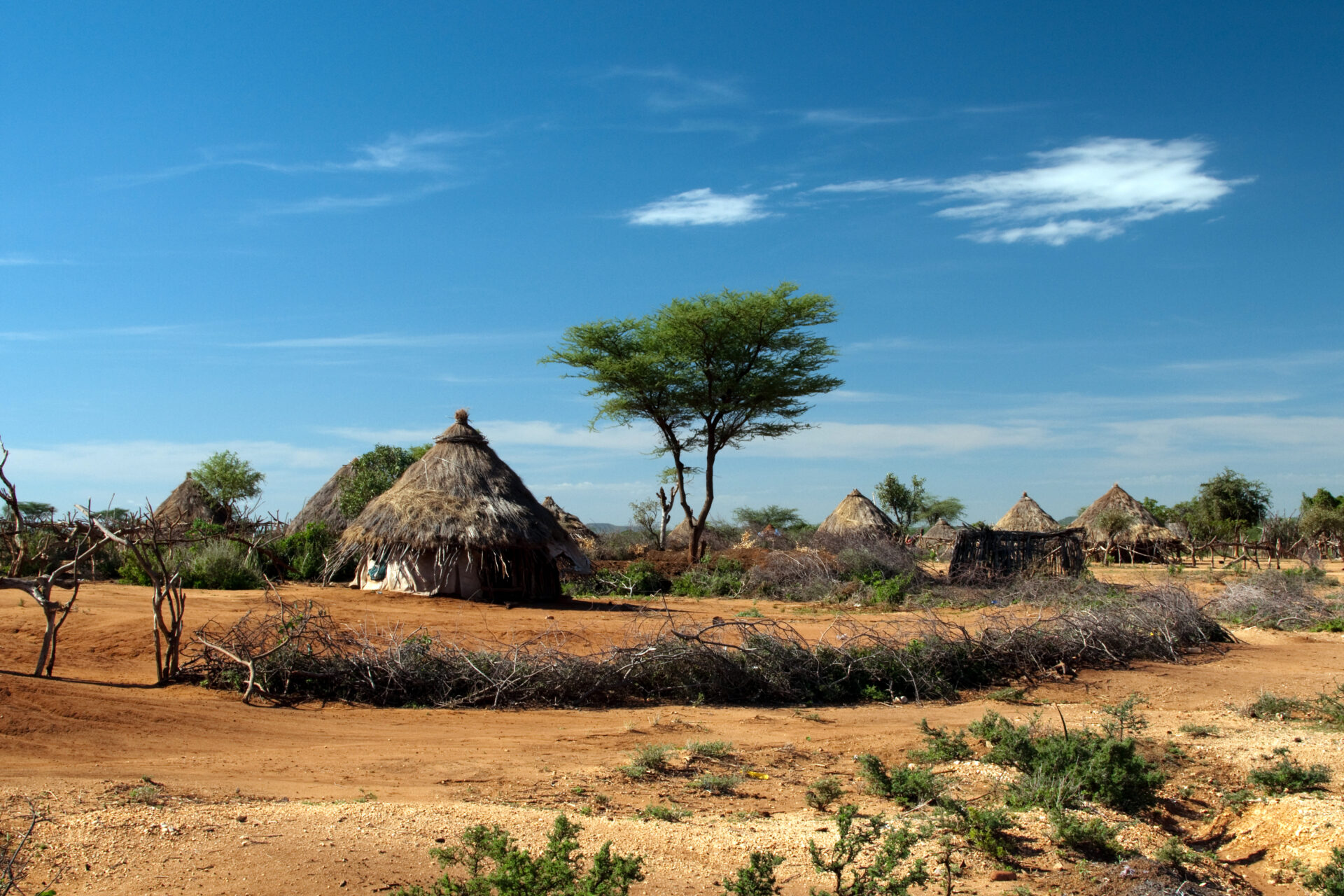 Ethiopia's Green Legacy Initiative is working to combat climate change