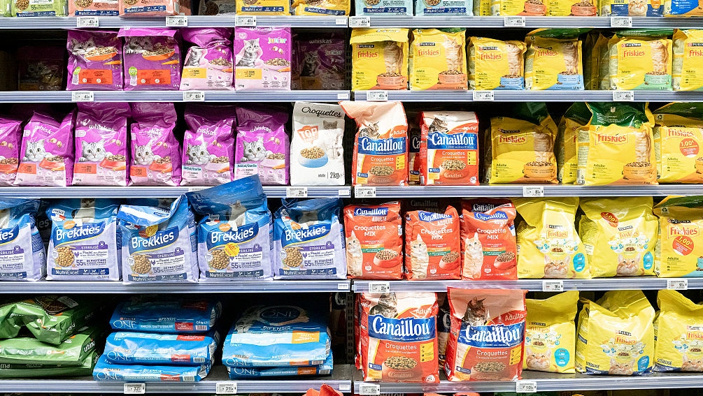 Smart feeding tips for happier, healthier cats