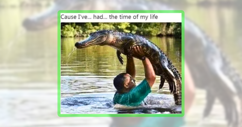 22 alligator memes to sink your teeth into this week