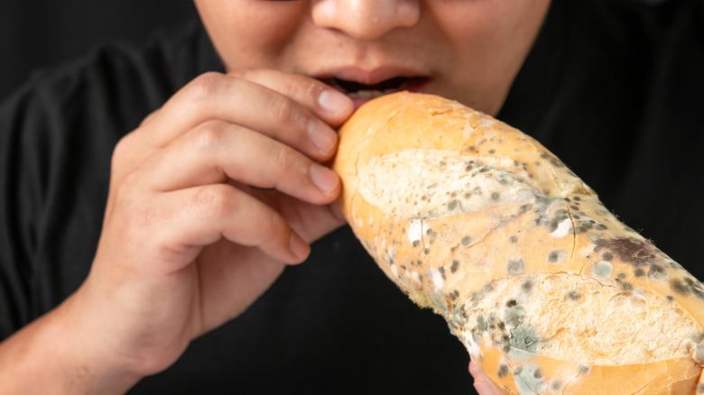 Can moldy sourdough bread make you sick (and how long does it really ...