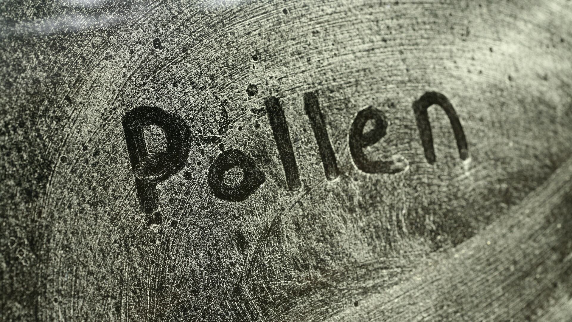 How rain affects Tennessee pollen and allergens