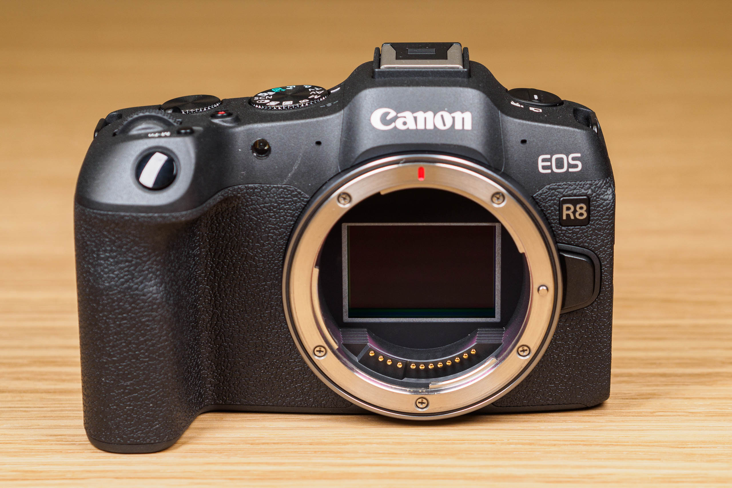 Images from this full-frame camera would 'please anybody.' Get it ...