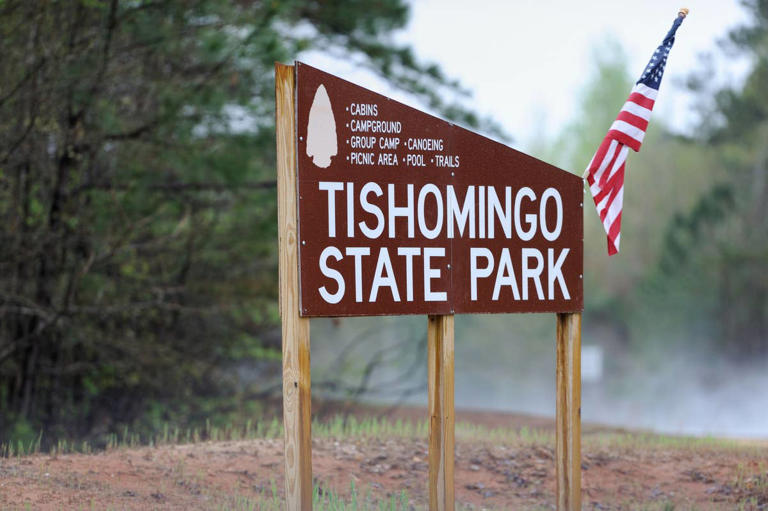 7 copperhead locations in Mississippi to know before hiking