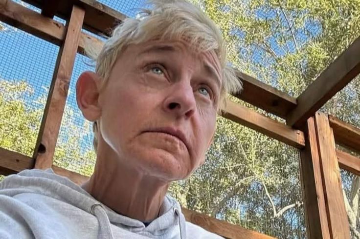 Ellen DeGeneres' 'Be Kind' image takes another hit over waitress ...