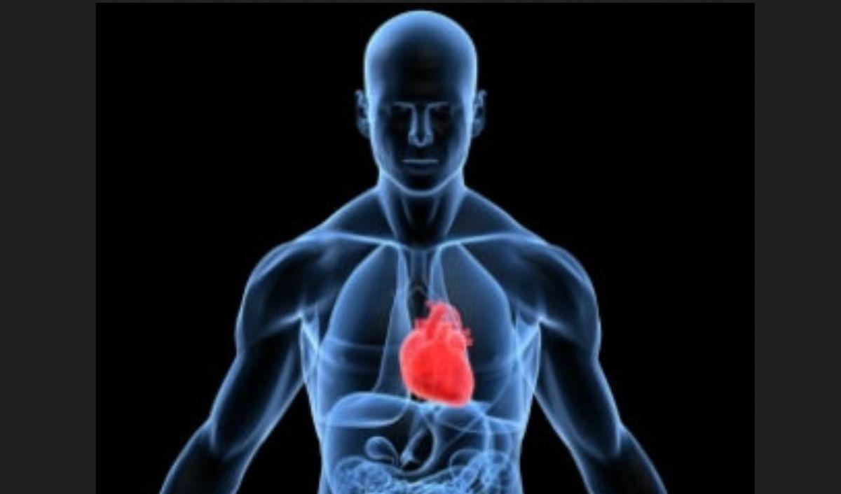 PSA: Ischemic heart disease still leading cause of death in PH in 2025