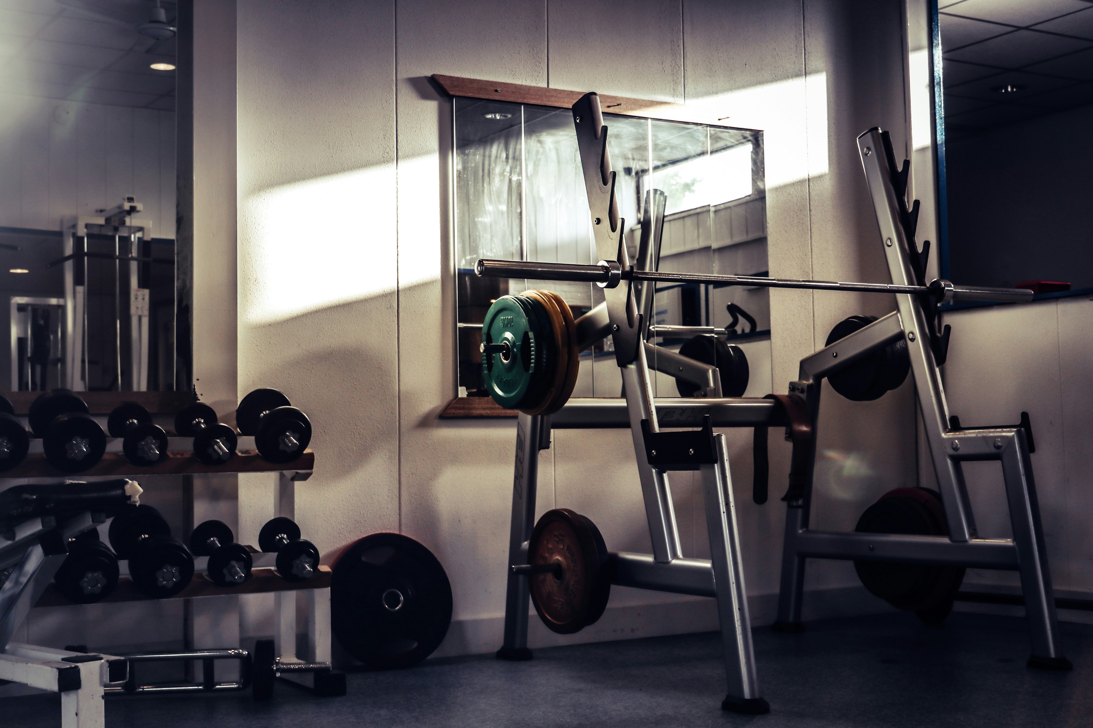 What are the best home gym equipment? Here’s our pick for smashing your ...