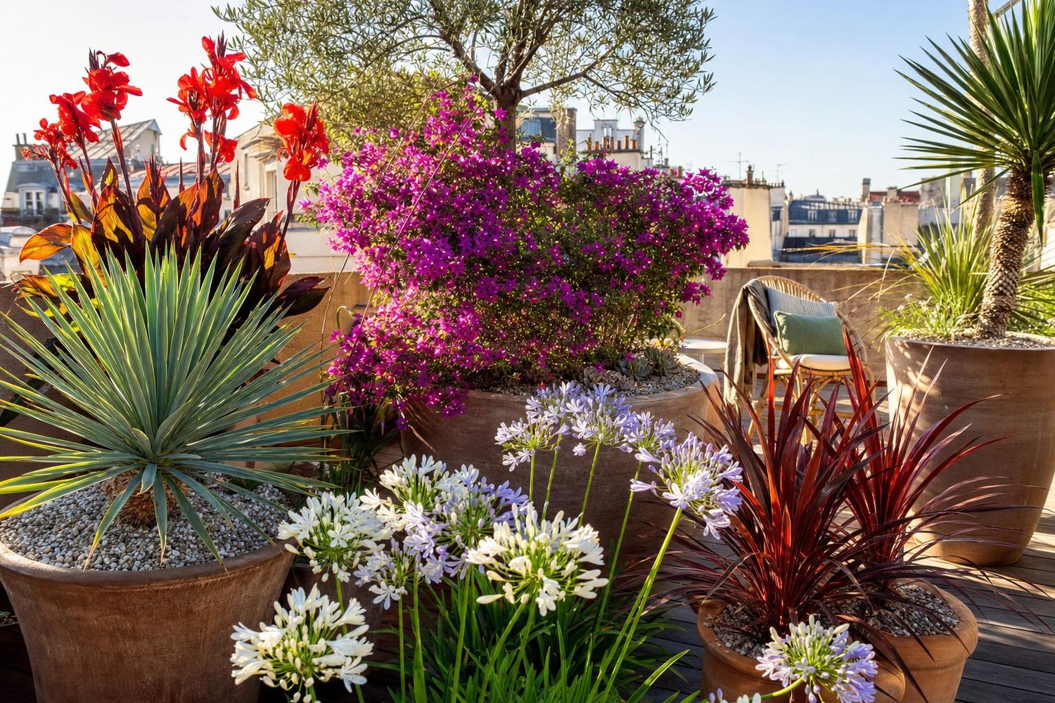 Canicule : voici les 5 plantes tropicales increvables qui résistent à ...