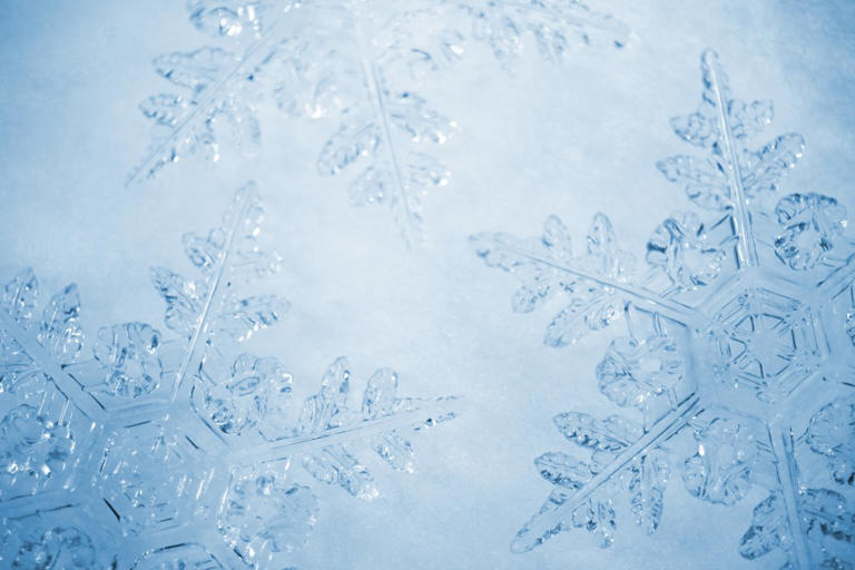 The symptoms of 'snowflake disease' — and why it 'becomes more severe ...