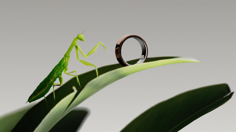 Oura Ring 5 drops out of the blue with slimmer design and more accurate ...