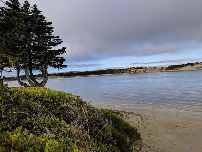 Oregon dunes go straight into the ocean here and you can rent a sand ...