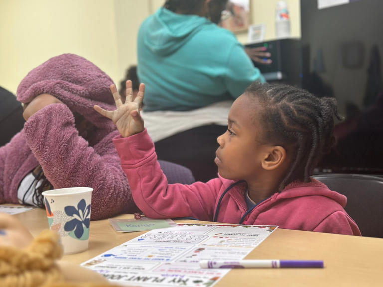 CNY Girl Scout leaders have a new mission: Getting more Syracuse kids ...