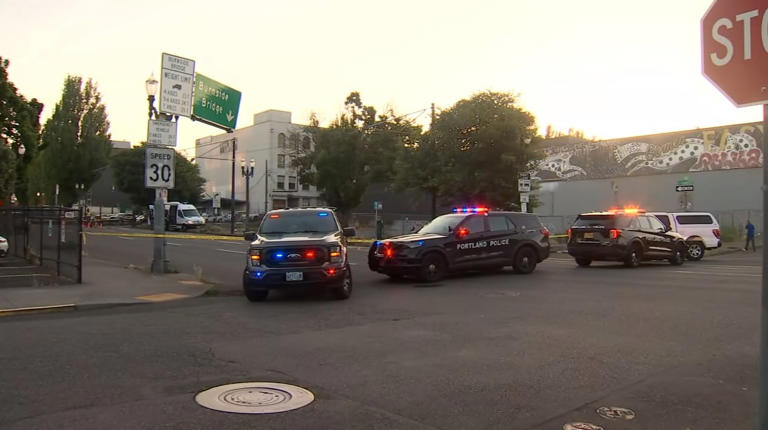 Man critically hurt in hit-and-run in SE Portland; driver arrested ...