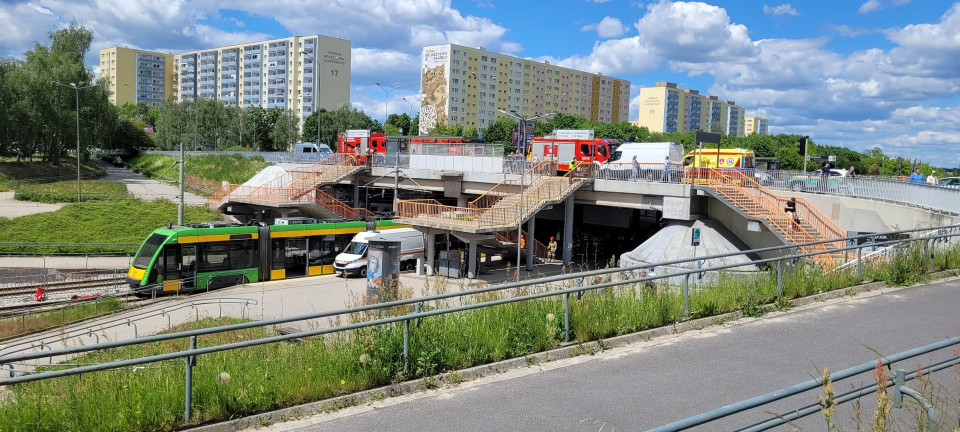 Śmiertelny wypadek na trasie PST w Poznaniu. 91-letni mężczyzna wpadł ...