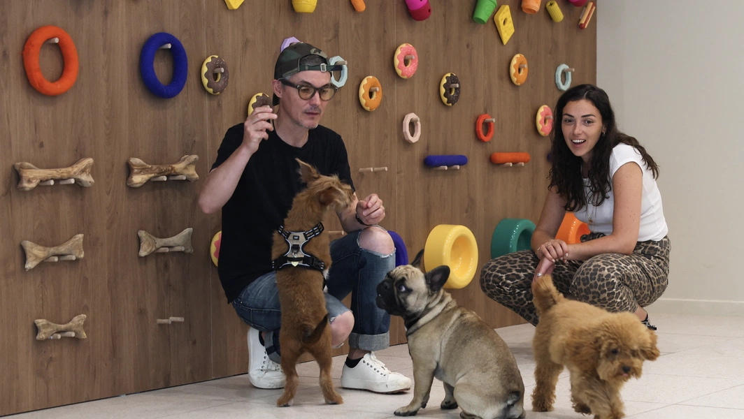 Viral 'second dog effect' video sparks mixed reactions from owners