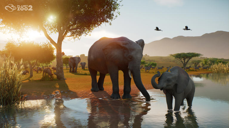Planet Zoo 2 developer on approachability, animal improvements, and all ...
