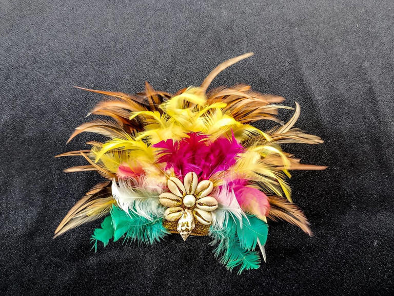 The forgotten tragedy of America’s only native parrot