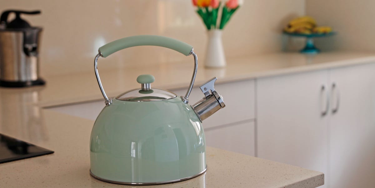 Los 8 mejores hervidores de agua eléctricos para hacer tés e infusiones
