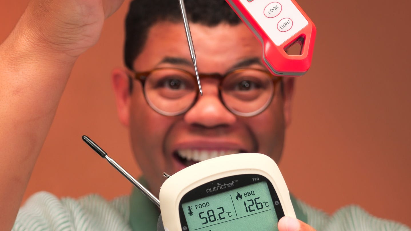 Best food thermometers to cook meat to the perfect temperature