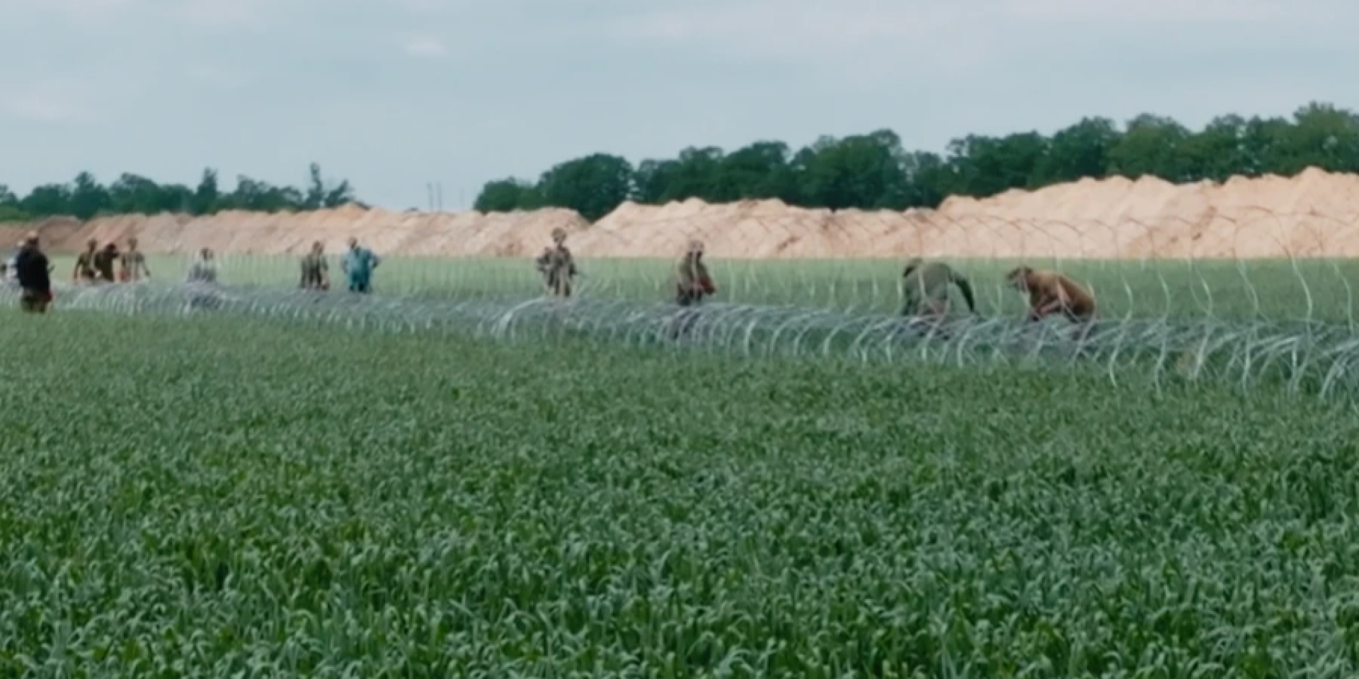 Ukraine's Khartiia Corps builds 135 km of anti-tank ditches around Kharkiv