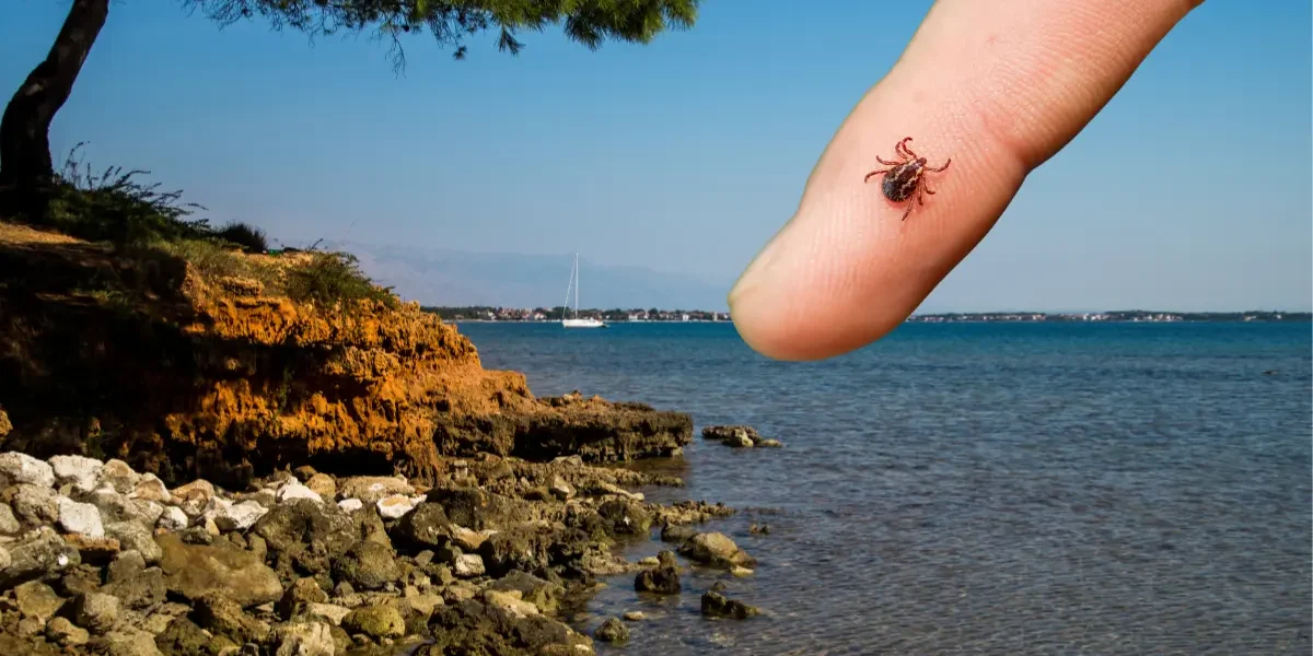 Zecken-Plage: Diese kroatische Insel warnt Urlauber