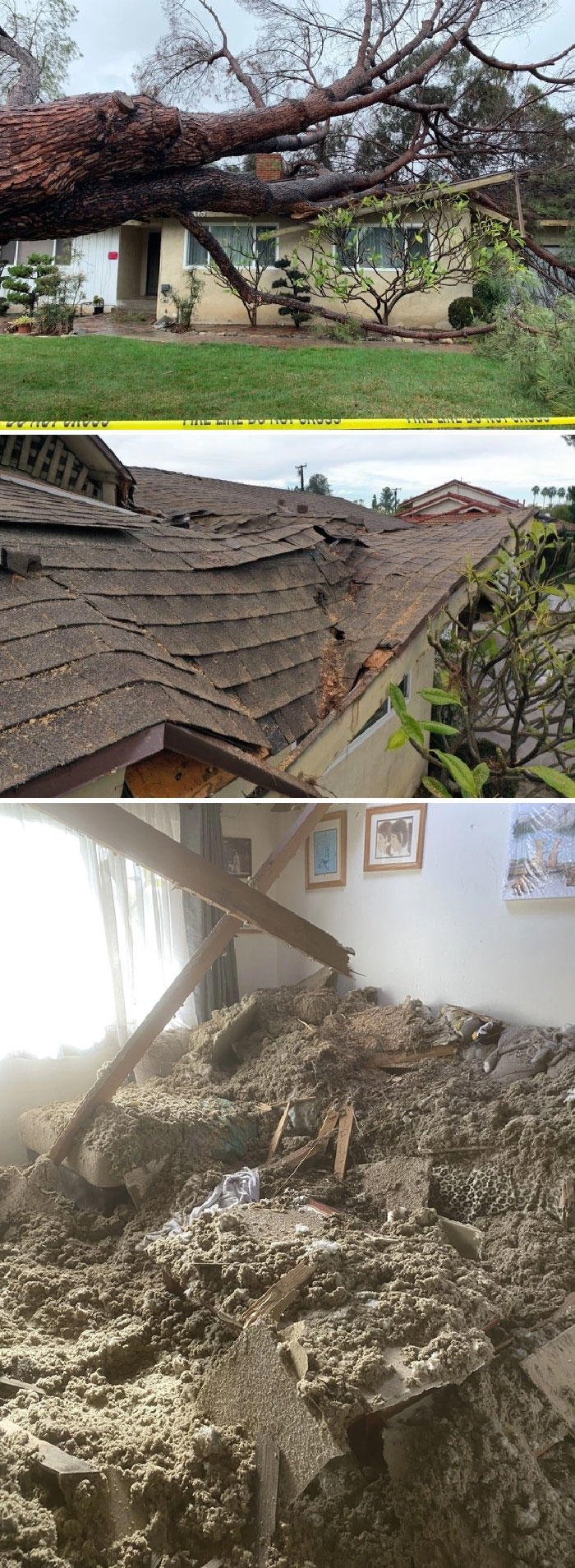 48 'nightmares' and 'miracles' spotted during structural inspections